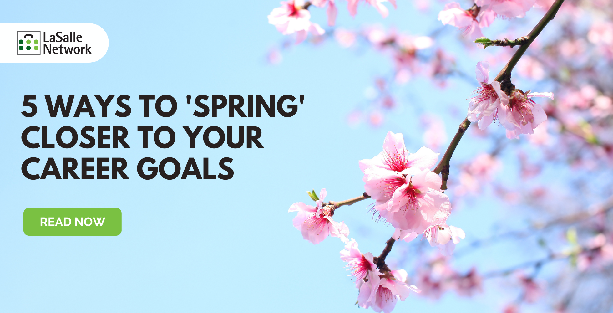 5 Ways to Refresh Your Career This Spring